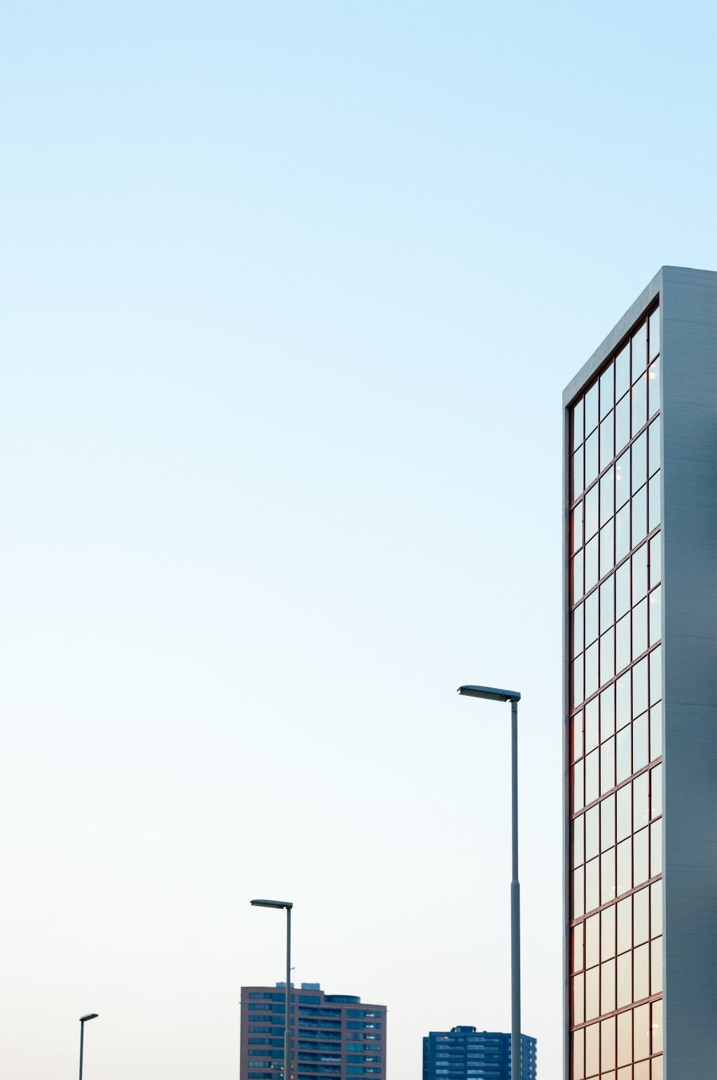 Leica S-E (Typ 006) | Jip van Kuijk